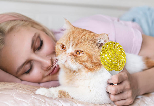 Lameness - Extended Protocol - Feline | Qi Life Store